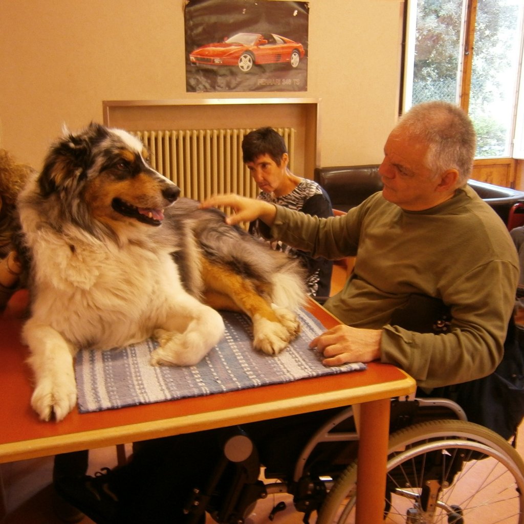 Misericordia di Firenze | Pet therapy e disabilità